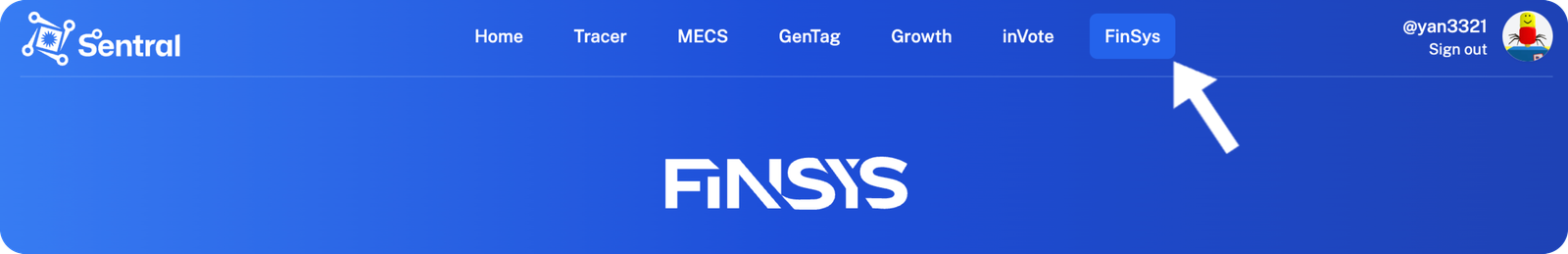 FinSys Usage Guide
