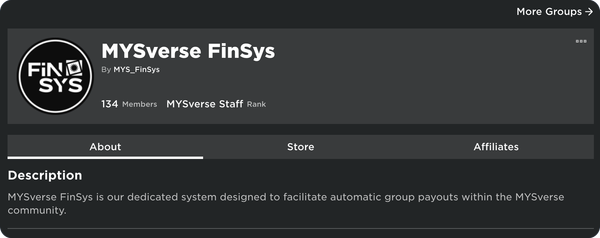 FinSys Usage Guide